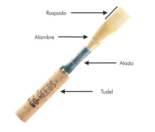 Trucos para tus cañas de estudiante nuevas. - www.eg-reeds.com