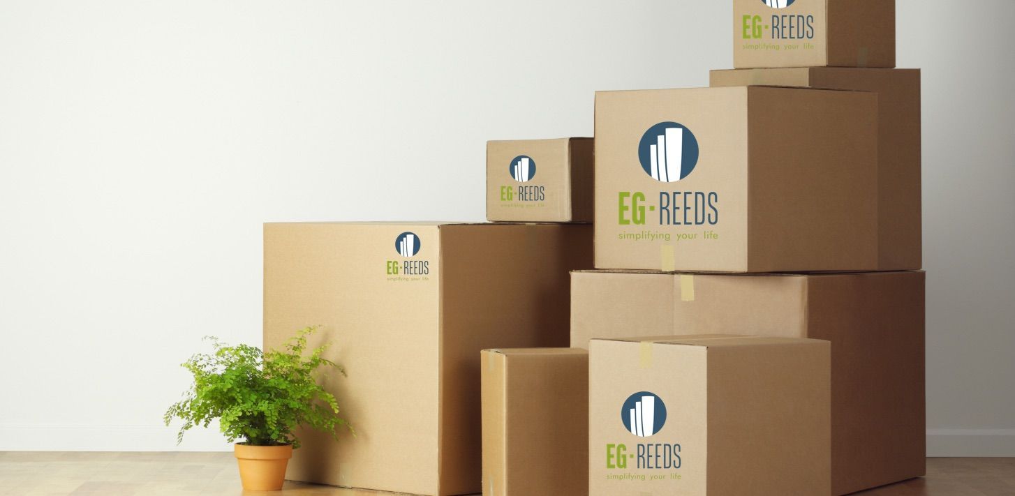 EG-REEDS moves to Spain - EG-REEDS