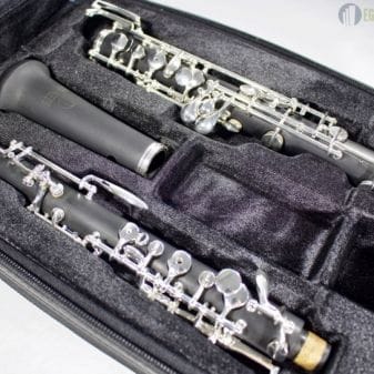 Interview with Jonathan Kelly, principal oboe of the Berliner ...