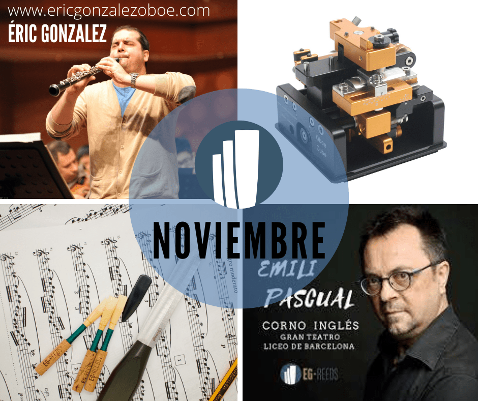 Resumen noviembre 2020 EG-REEDS - www.eg-reeds.com